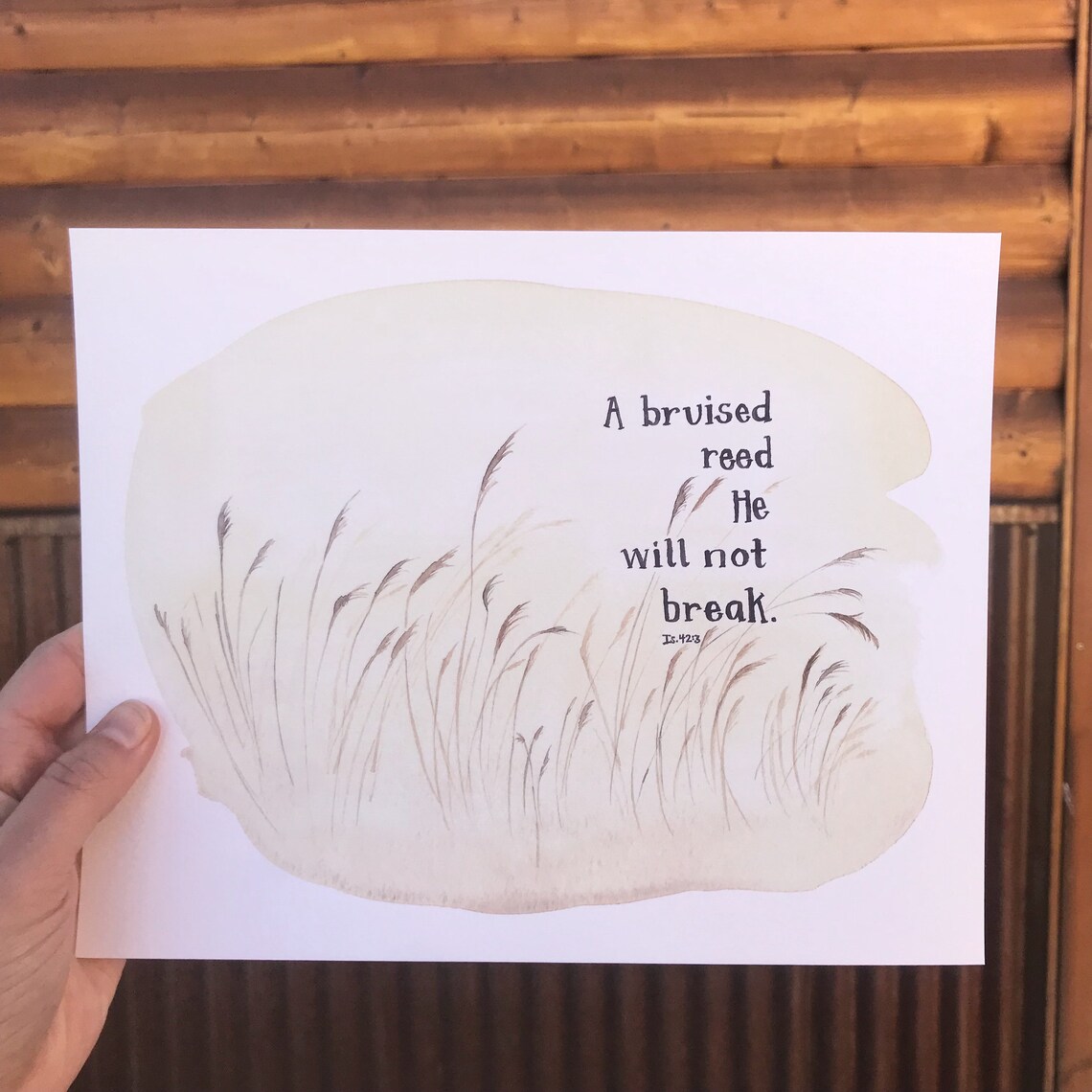 A Bruised Reed Giclee Watercolor Print Scripture Encouragement Sympathy ...