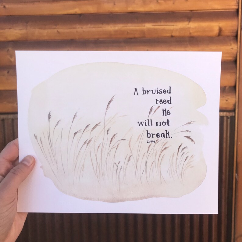 A Bruised Reed Giclee Watercolor Print Scripture Encouragement Sympathy ...