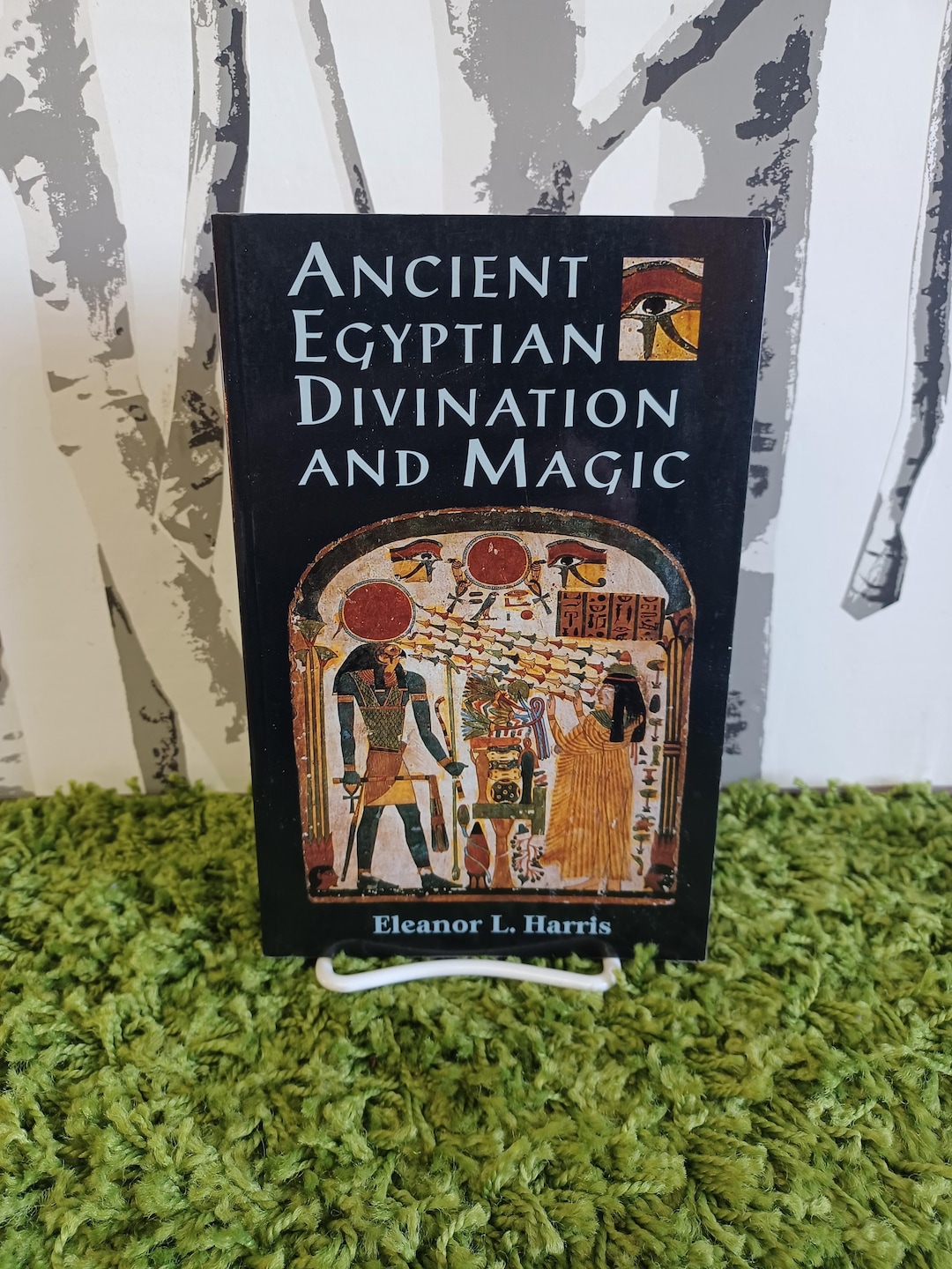 Ancient Egyptian Divination and Magic by Eleanor Harris Very Good ...