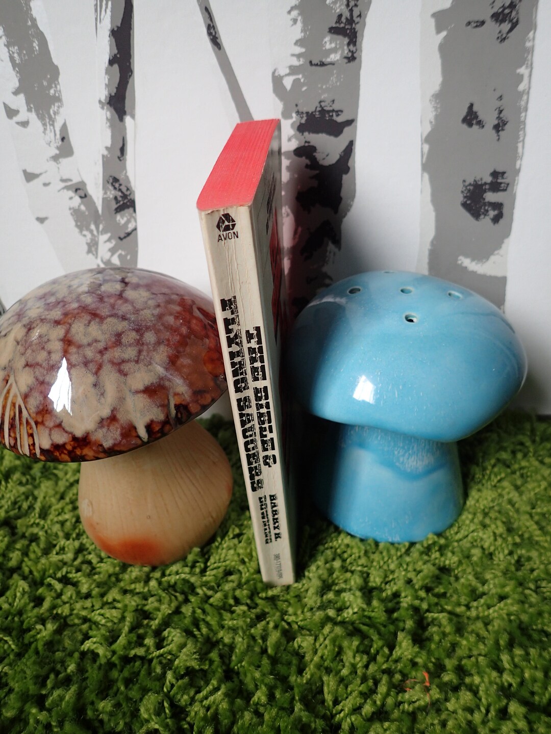 The Bible & Flying Saucers by Barry Downing Avon Paperback - Etsy