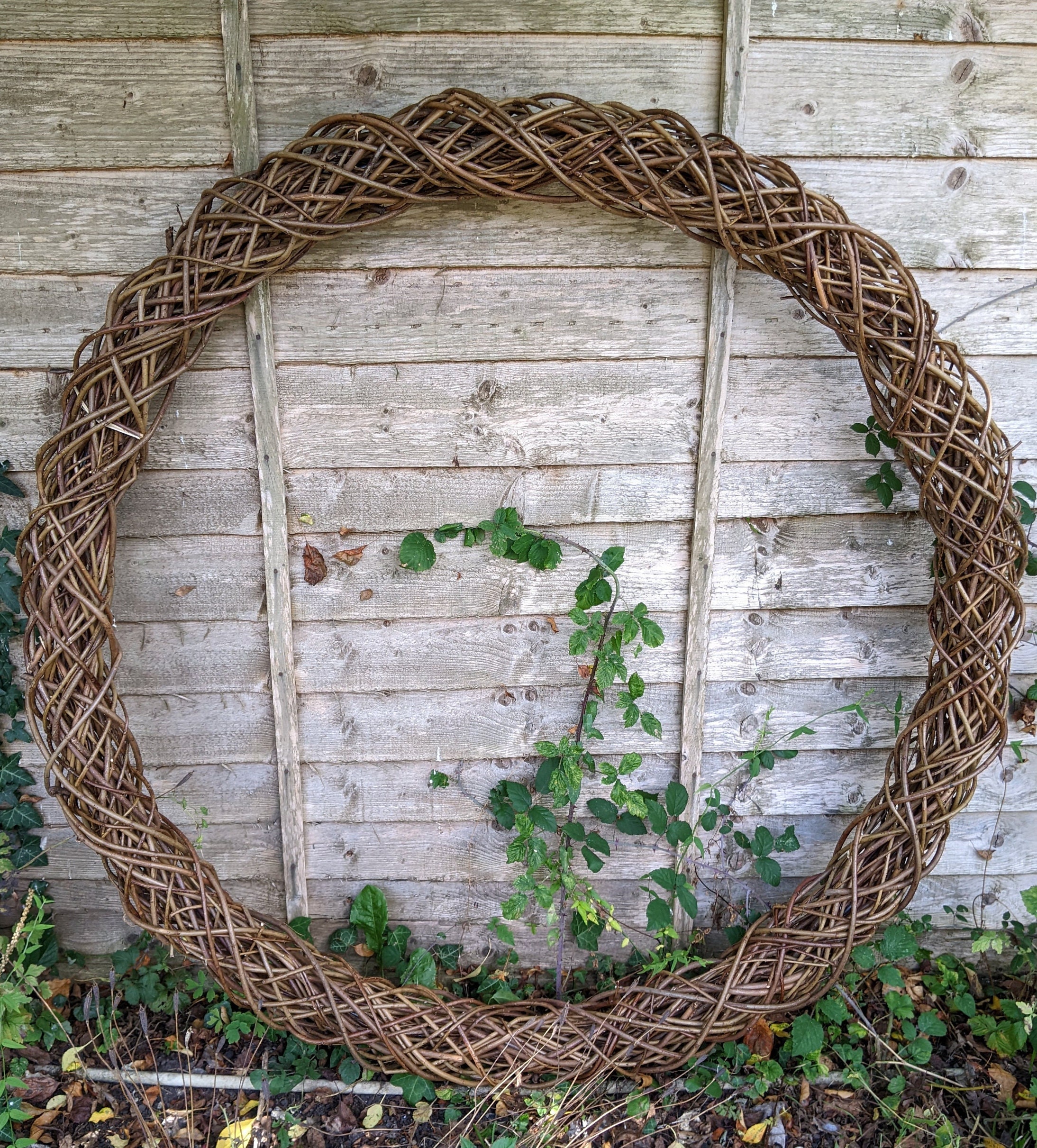Large Willow Wreath