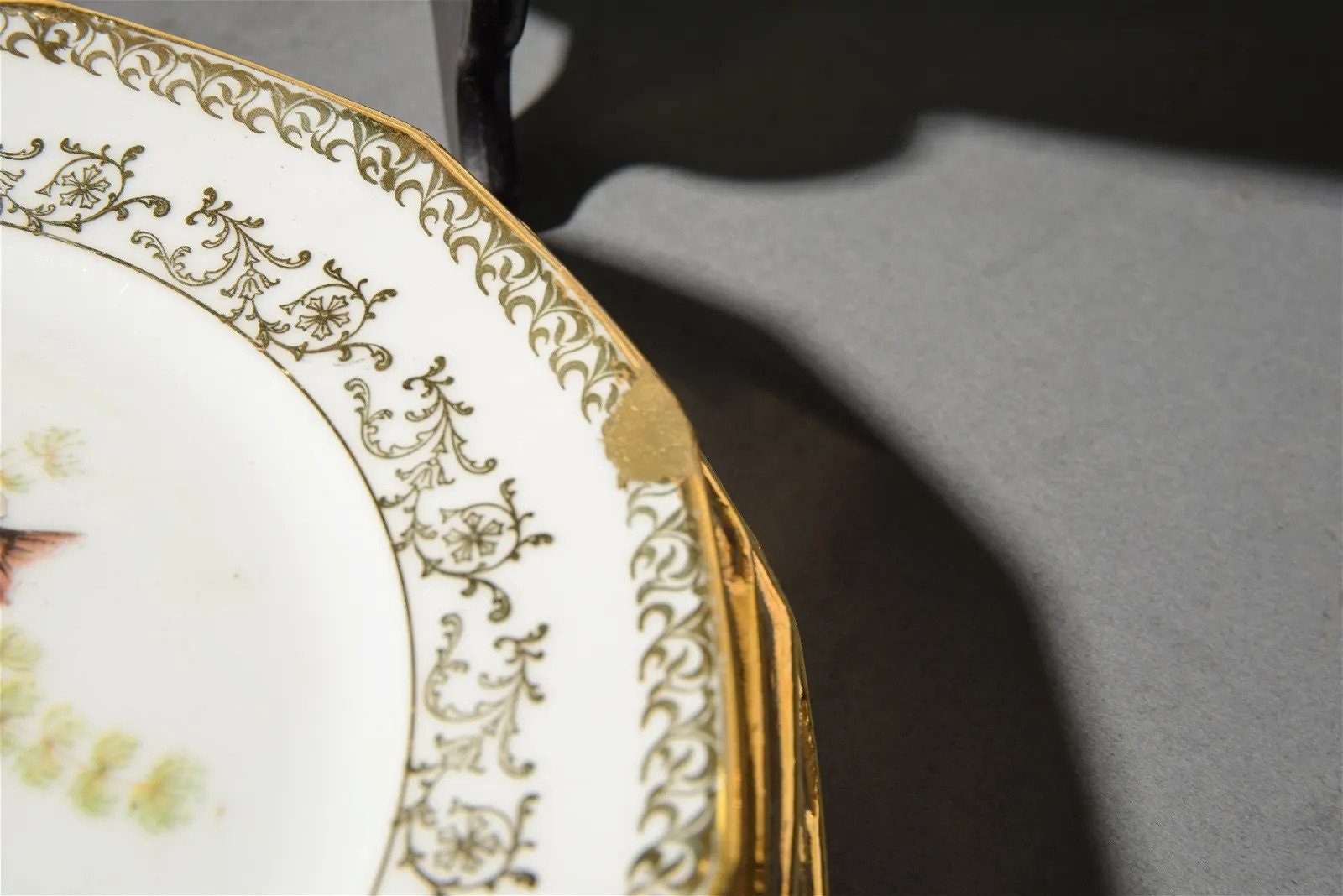 Limoges Porcelain 1950s French Table Service in Hand-painted Fish, Set ...