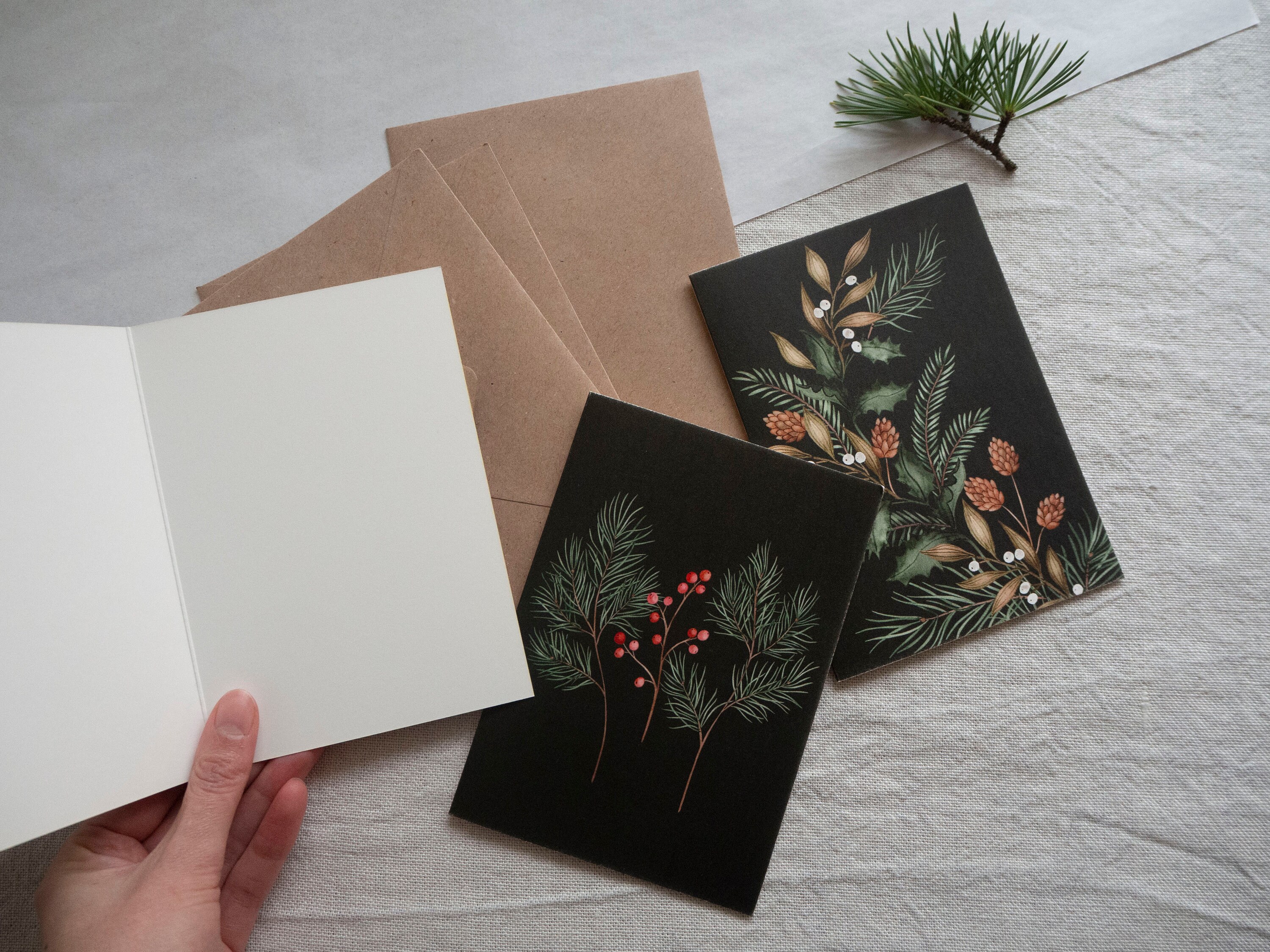 Botanical Christmas Card Set - Pack of 3 Illustrated Xmas Greeting ...