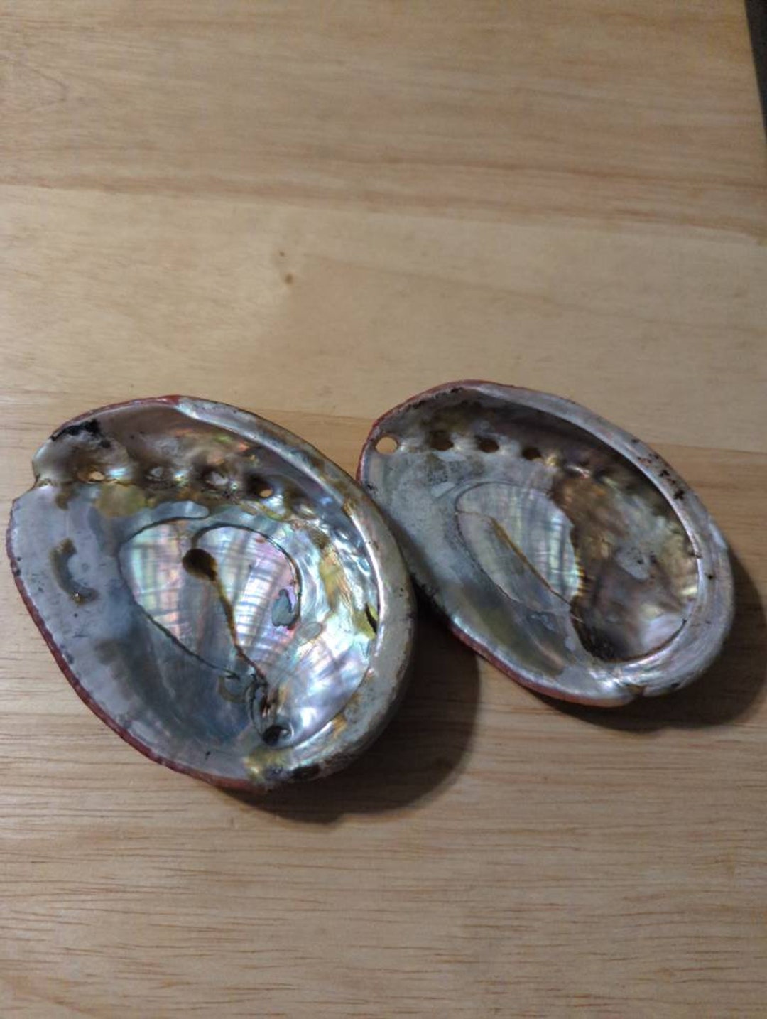 Red Abalone Shells Two Small Shells Free Shipping. - Etsy