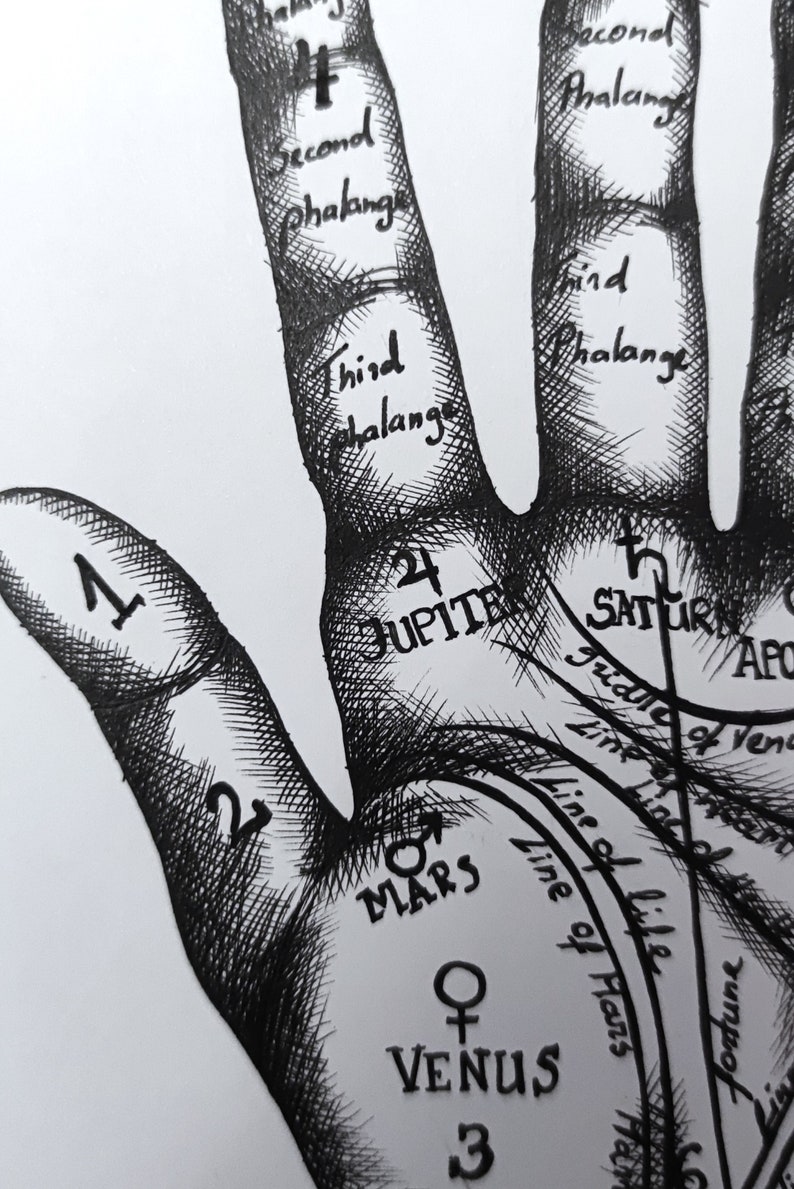 Detailed Ink Drawing of Palmistry - Etsy