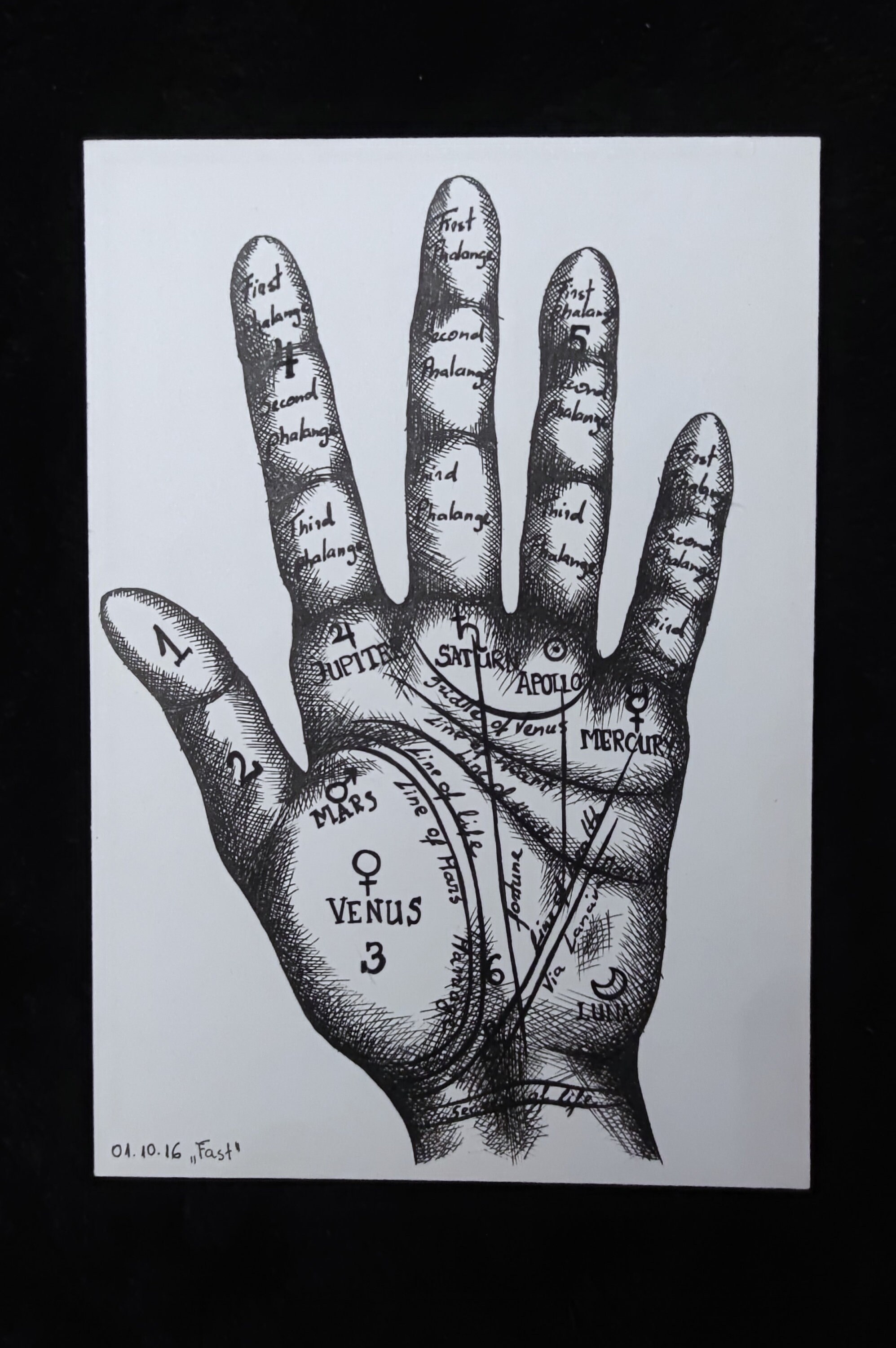 Detailed Ink Drawing of Palmistry - Etsy