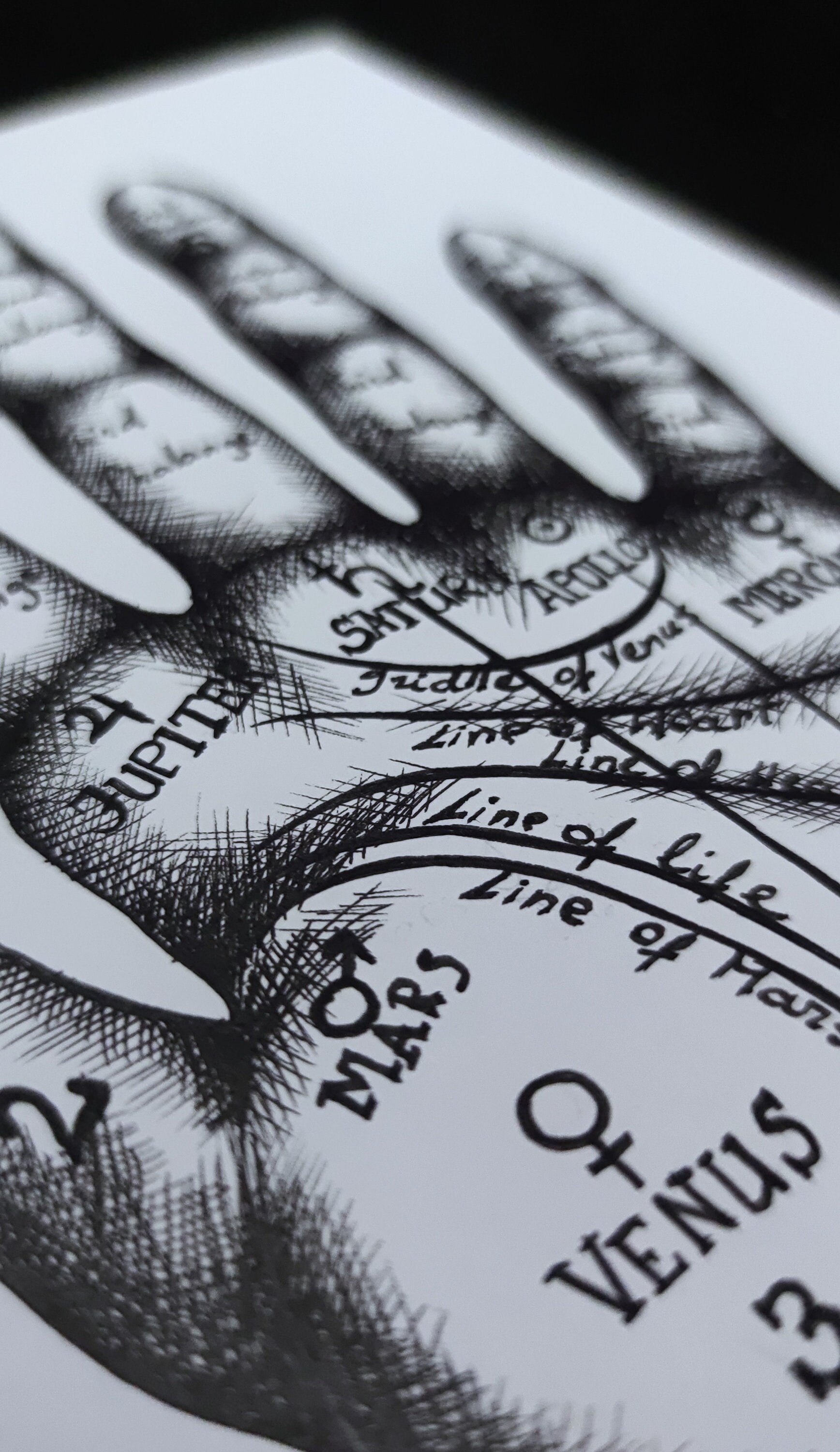 Detailed Ink Drawing of Palmistry - Etsy