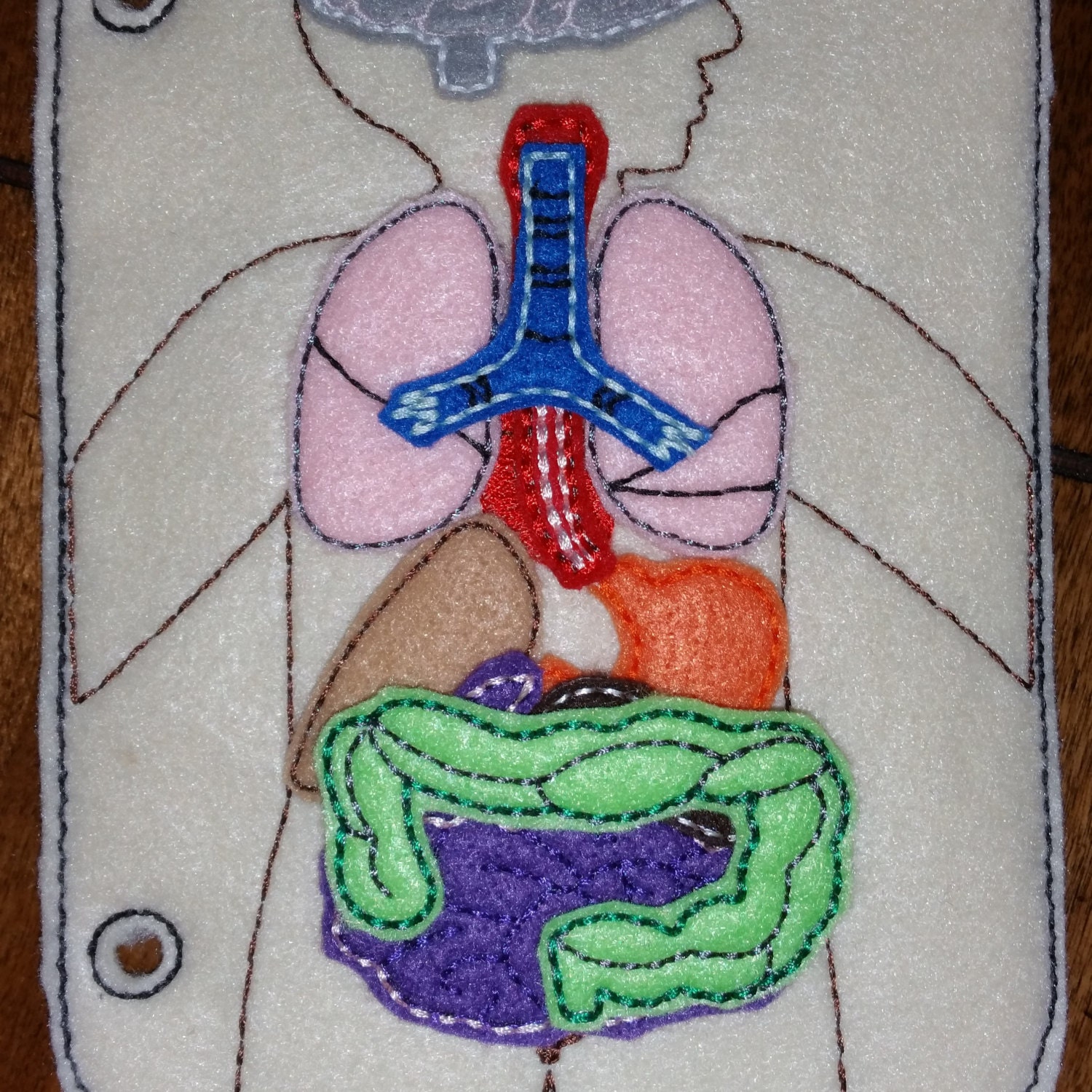 Educational Felt Human Anatomy Page 5x7 Quiet Book Page - Etsy