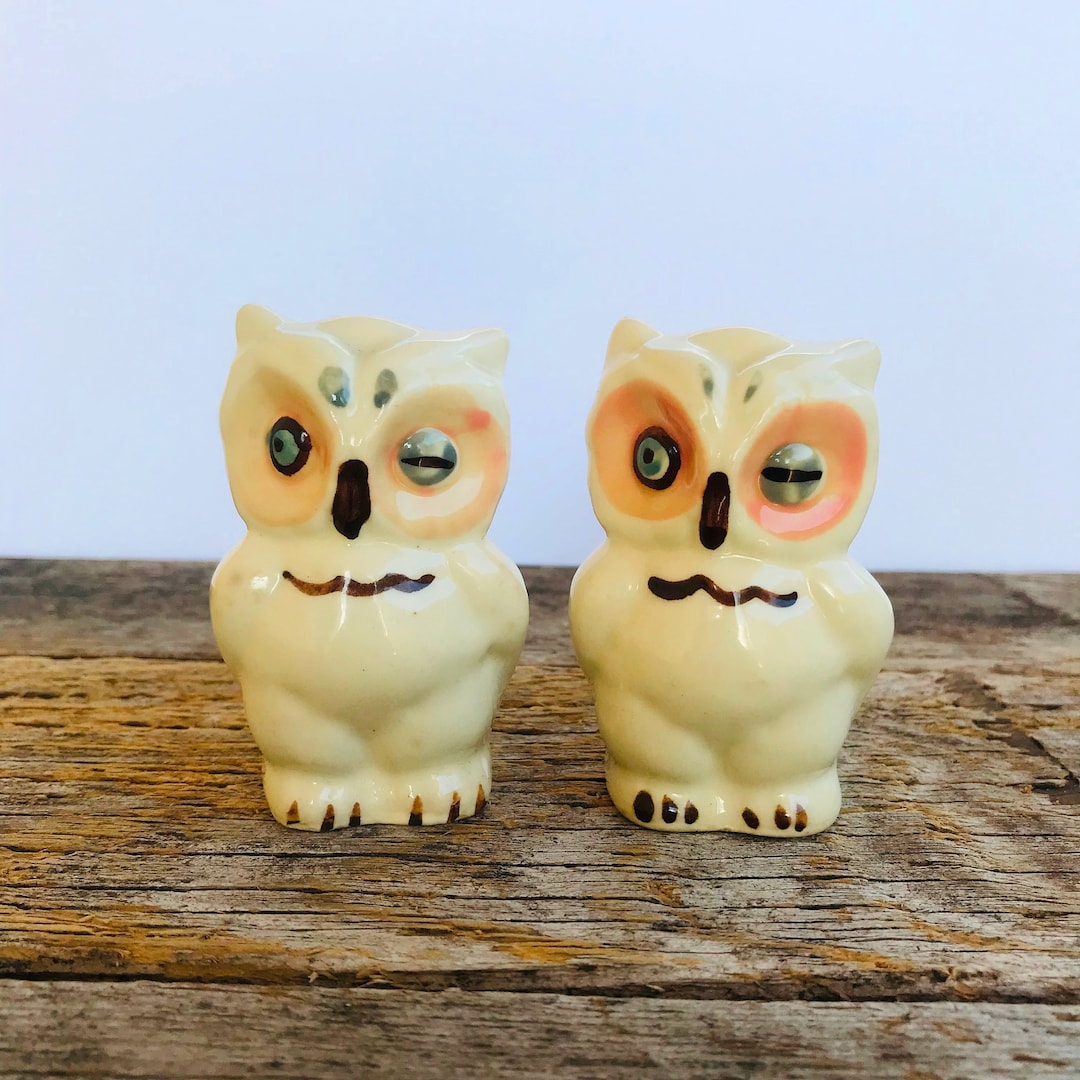 Shawnee Ceramic Winking Owl Salt and Pepper Shakers Bird Lover Gift - Etsy