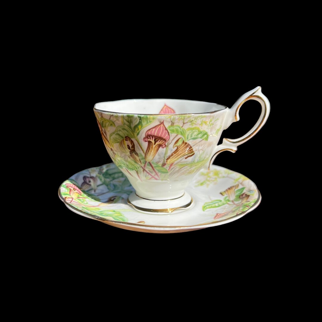 Royal Albert Jack in the Pulpit Bone China Cup and Saucer Set England ...