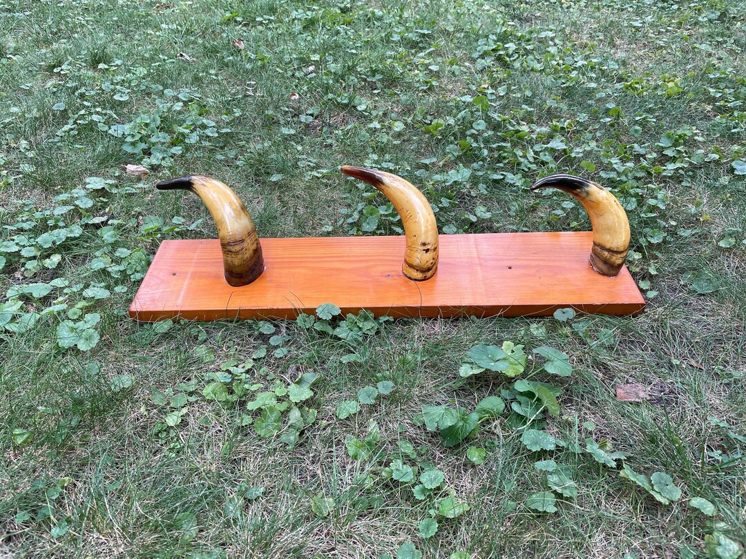 Vintage Steer Horn Hat Hook Cowboy Ranch Wood Coat Hooks Western Wall ...