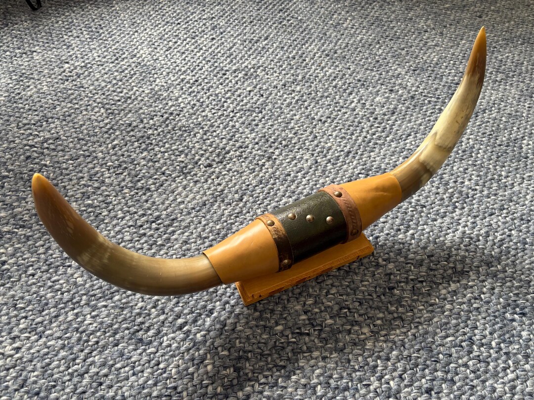 Longhorn Cattle Horn Mount Vintage Rustic Western Decor Leather Cow ...