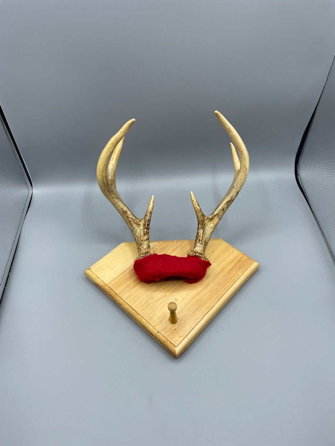 Mounted Real Deer Antlers Vintage Red Felt Wall Mount Full Rack ...