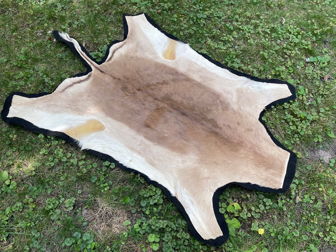Tanned Impala Pelt Natural African Antelope Fur Hide Real - Etsy
