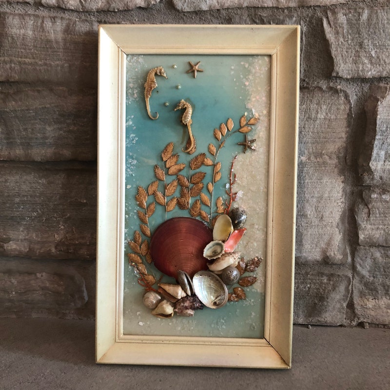 Seashell Wall Decor - Etsy