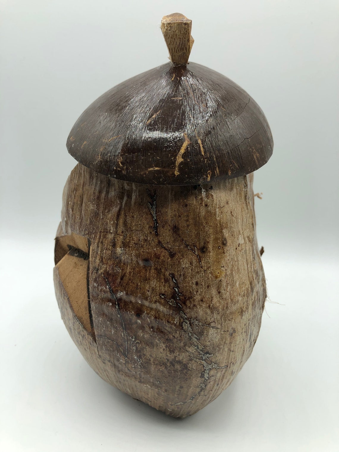 Carved Coconut Head Bank Hawaii Vintage Kitschy Tiki Bar | Etsy