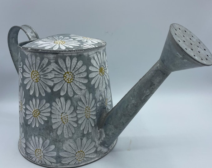 Cute Galvanized Watering Can Metal Water Can Gardening Plant Garden ...
