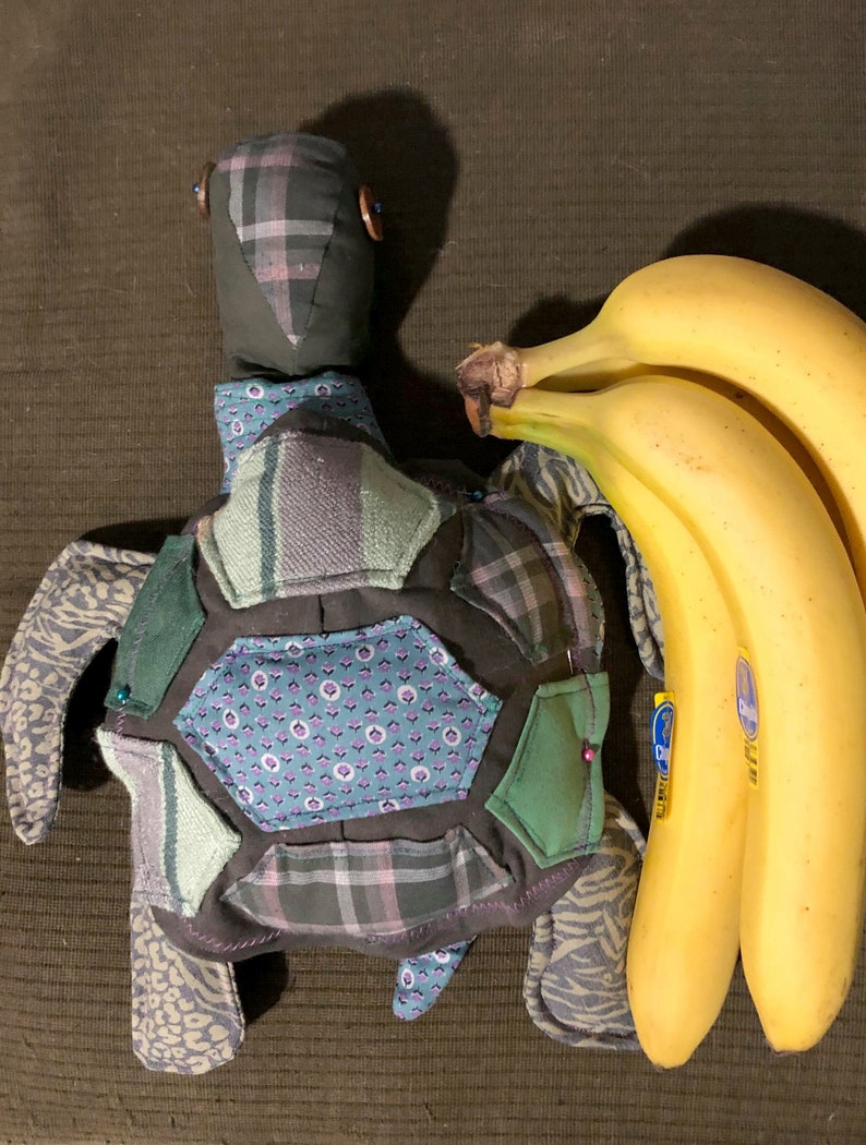 Custom Sea Turtle or Land Tortoise Made to Order Two Sizes - Etsy