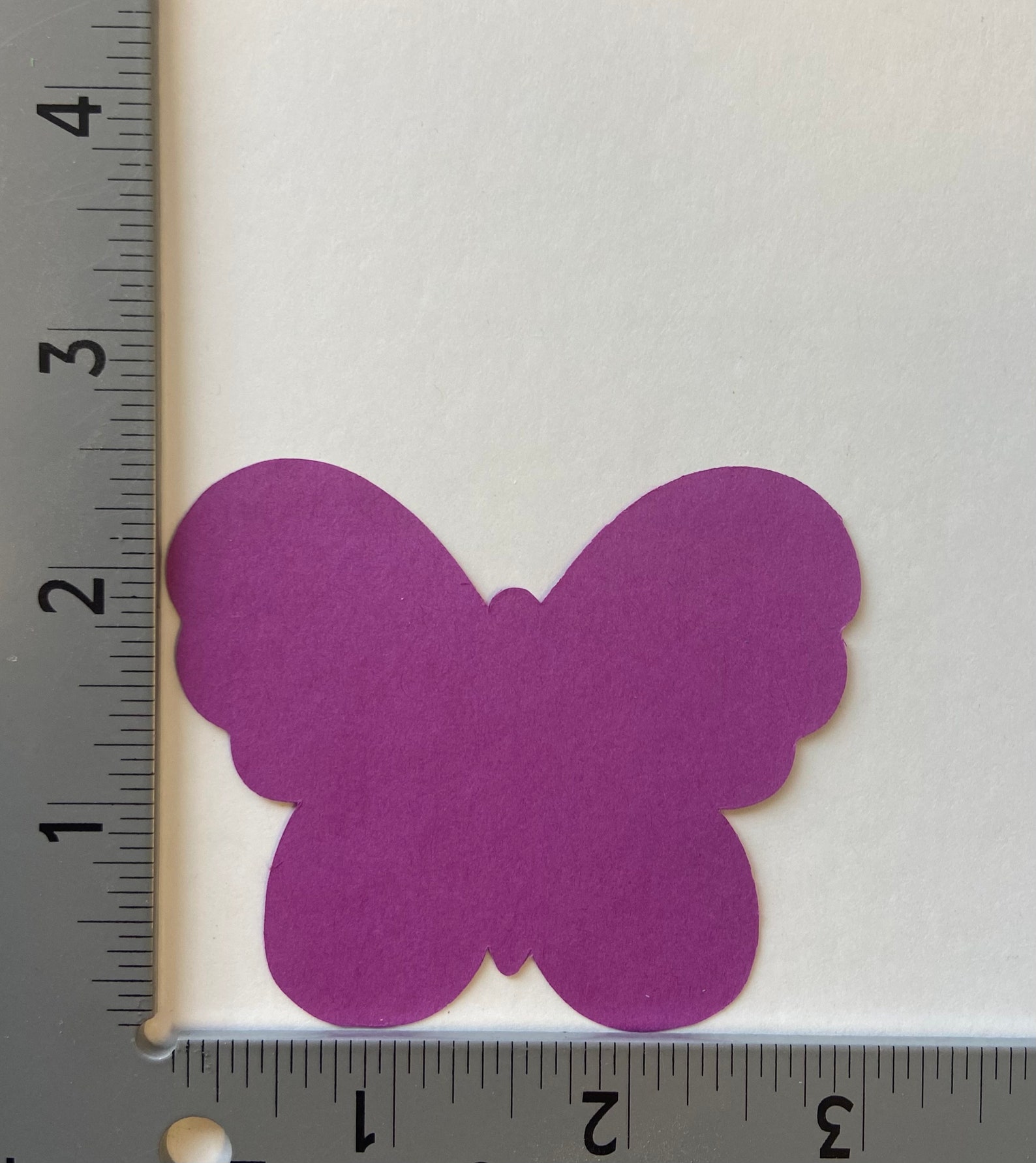 Creative Cut-outs - Assorted Color Butterfly - Etsy