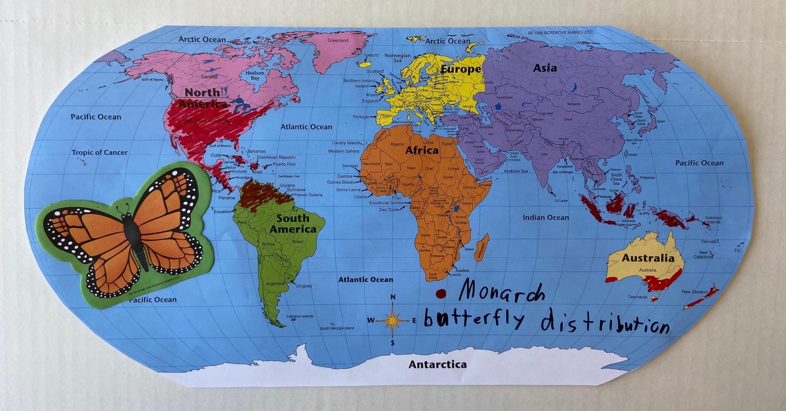 Labeled World Practice Map - Etsy