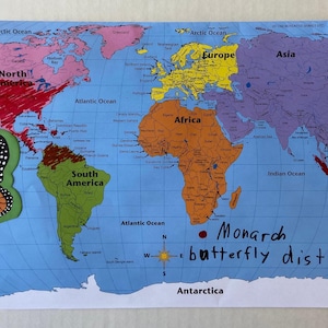 Labeled World Practice Map - Etsy Canada