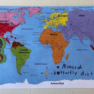 SHAPES ETC. Labeled World- Practice Maps - Etsy