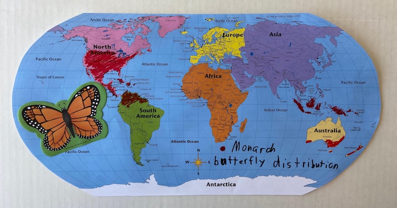 SHAPES ETC. Labeled World- Practice Maps - Etsy
