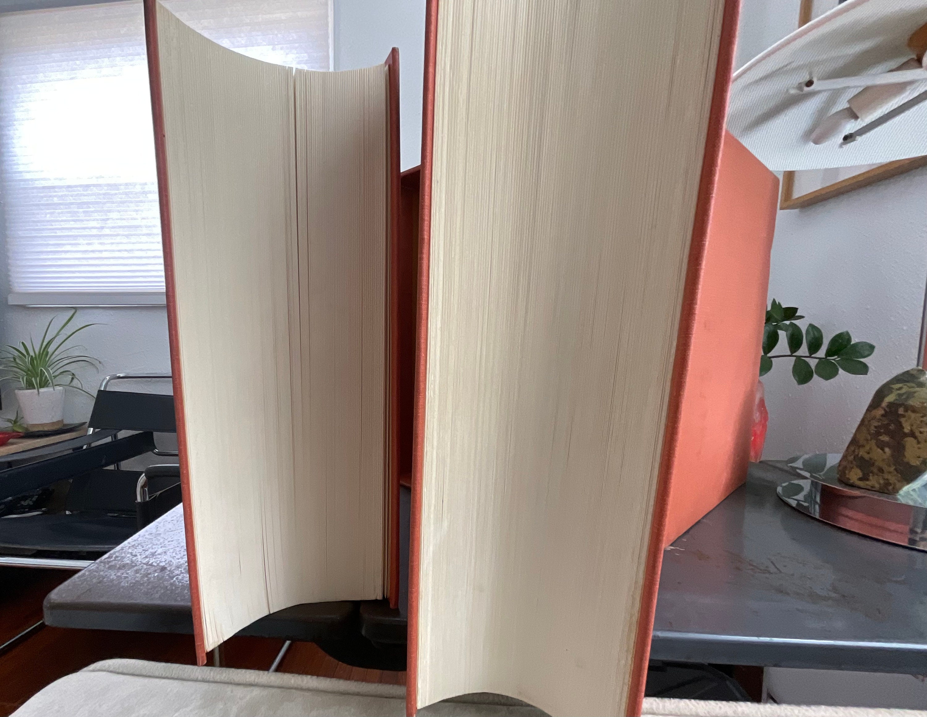 Agni by Frits Staal - Etsy