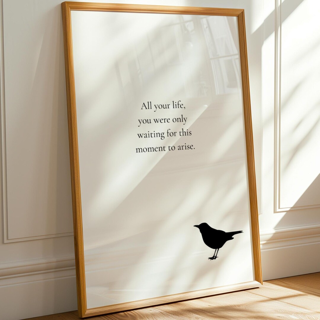 The Beatles Beyoncé Inspired Blackbird BLACKBIIRD Paul Mccartney Lyrics ...