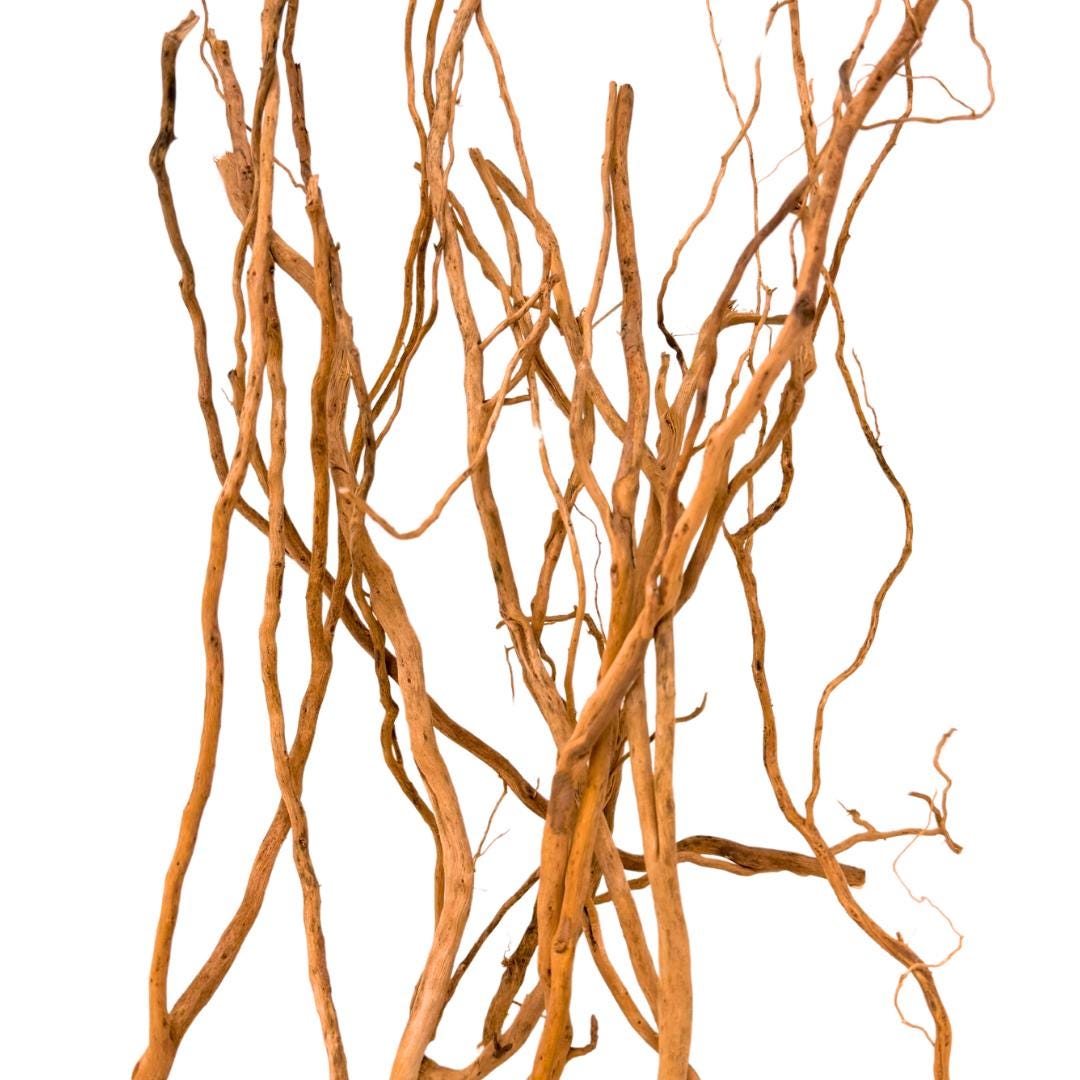 Aquarium Root Driftwood Adds a Natural, Rustic Touch to Your Fish Tank ...