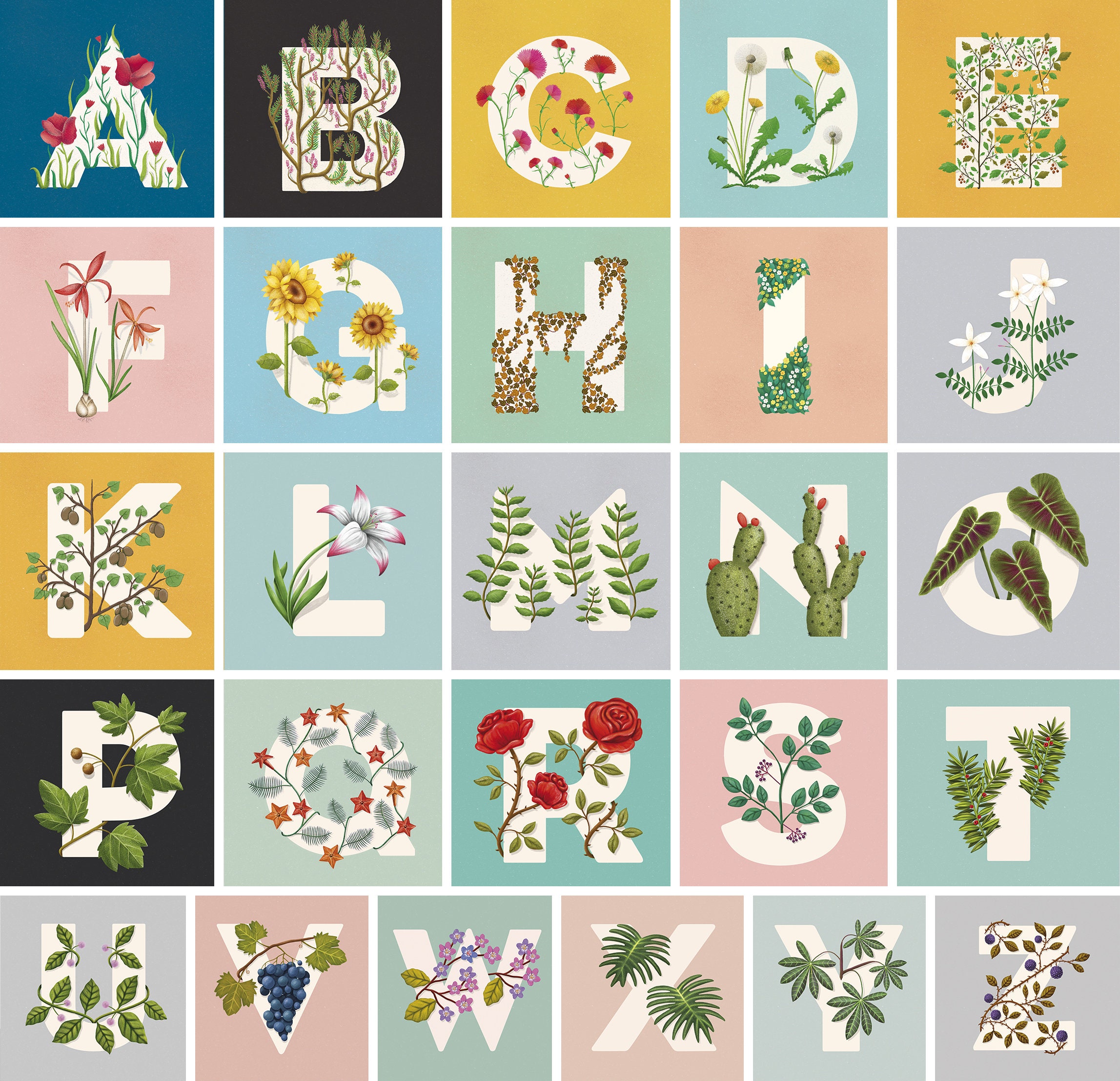 Botanical Illustration Letter Alphabet · Botanical Alphabet · 26 ...
