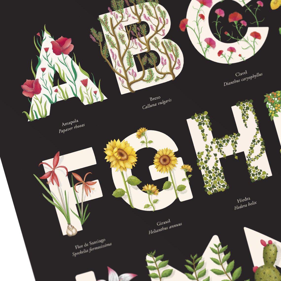 Poster ALPHABET Plants · Plant Alphabet · Botanical Alphabet ...