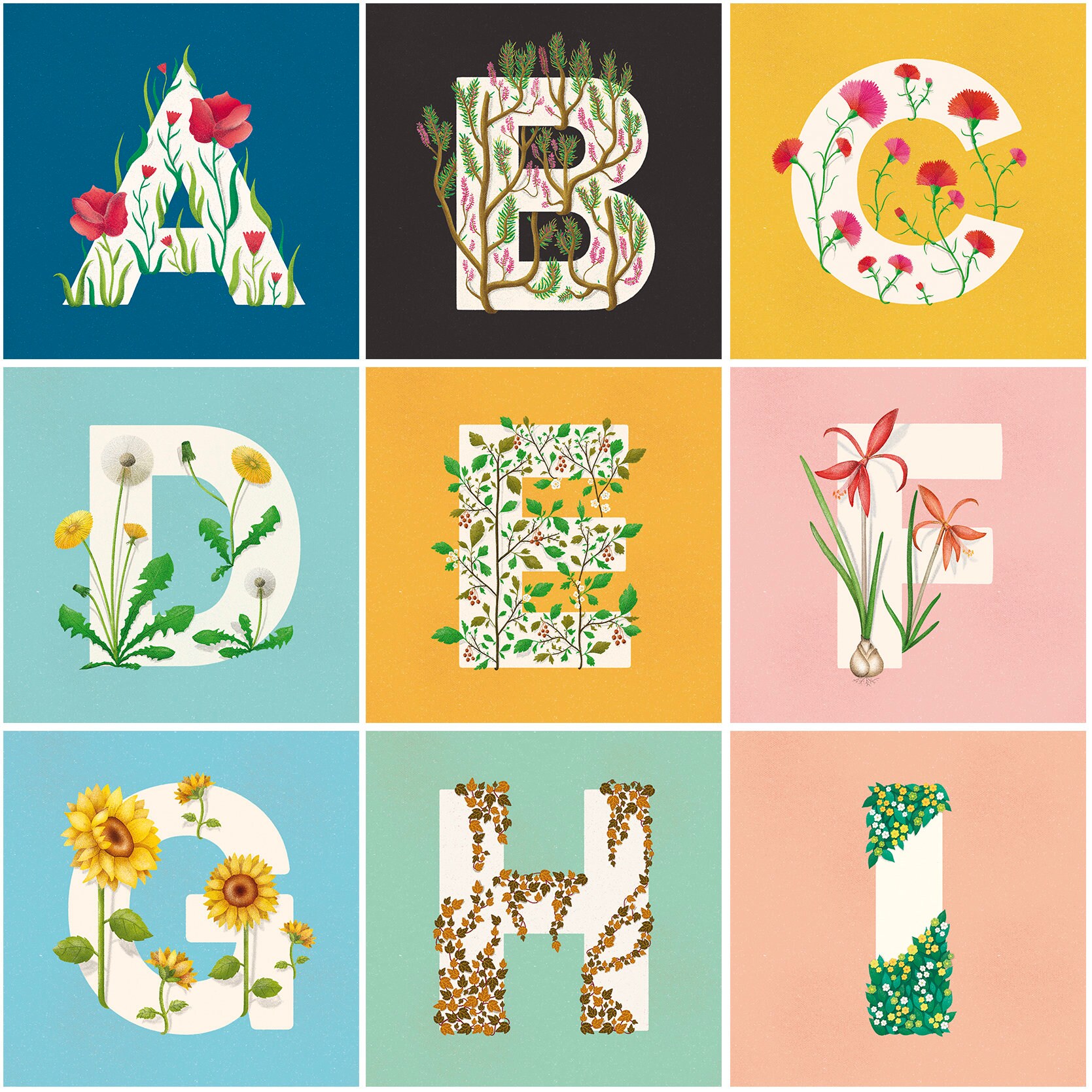 Alphabet Flower Letter Postcards 12x12cm · Botanical Illustrations ...