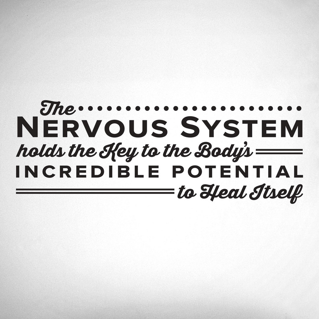 Chiropractic Quote Decal: Nervous System Healing Potential - 0130 - Etsy