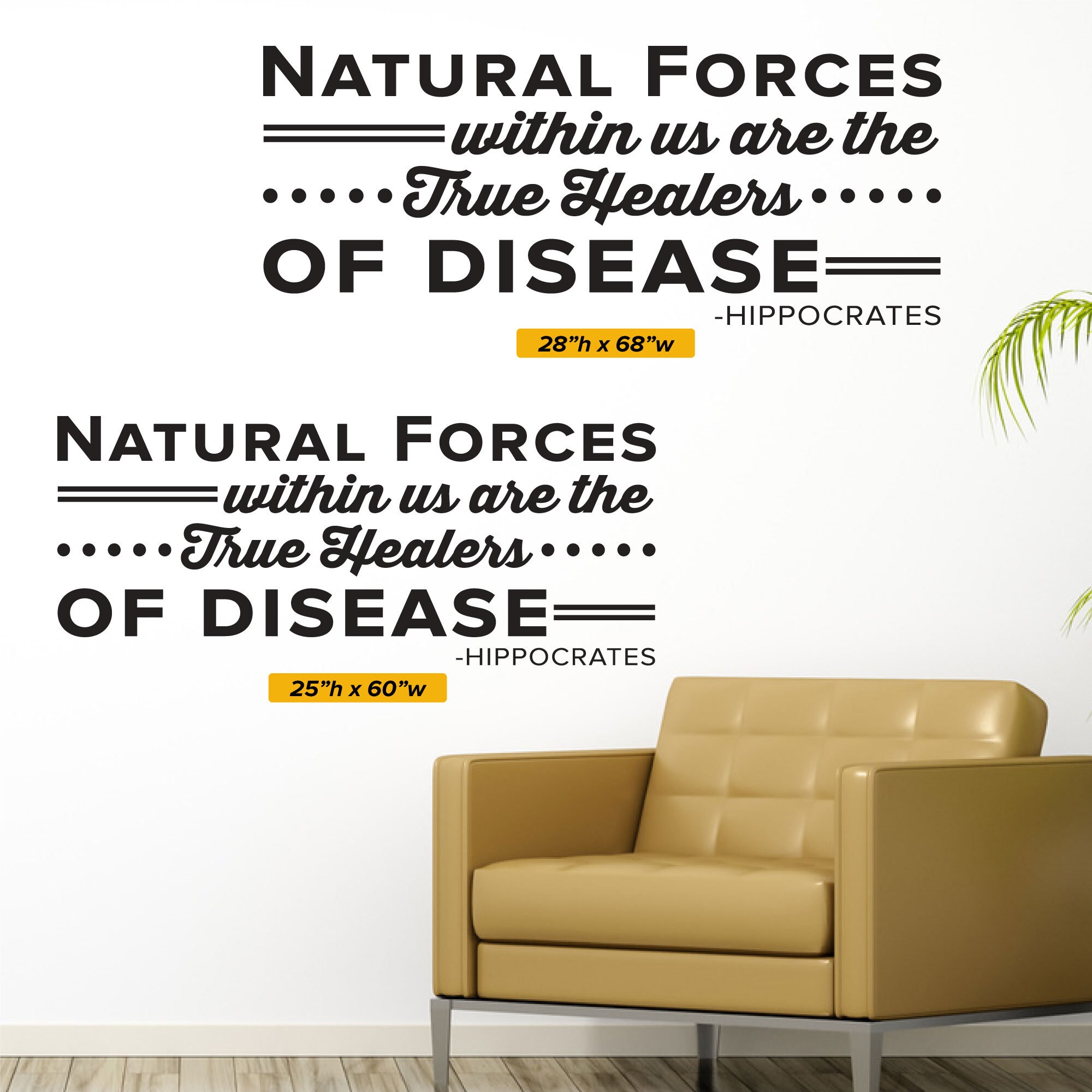 Natural Forces Within Us Are the True Healers F Disease - Hippocrates ...