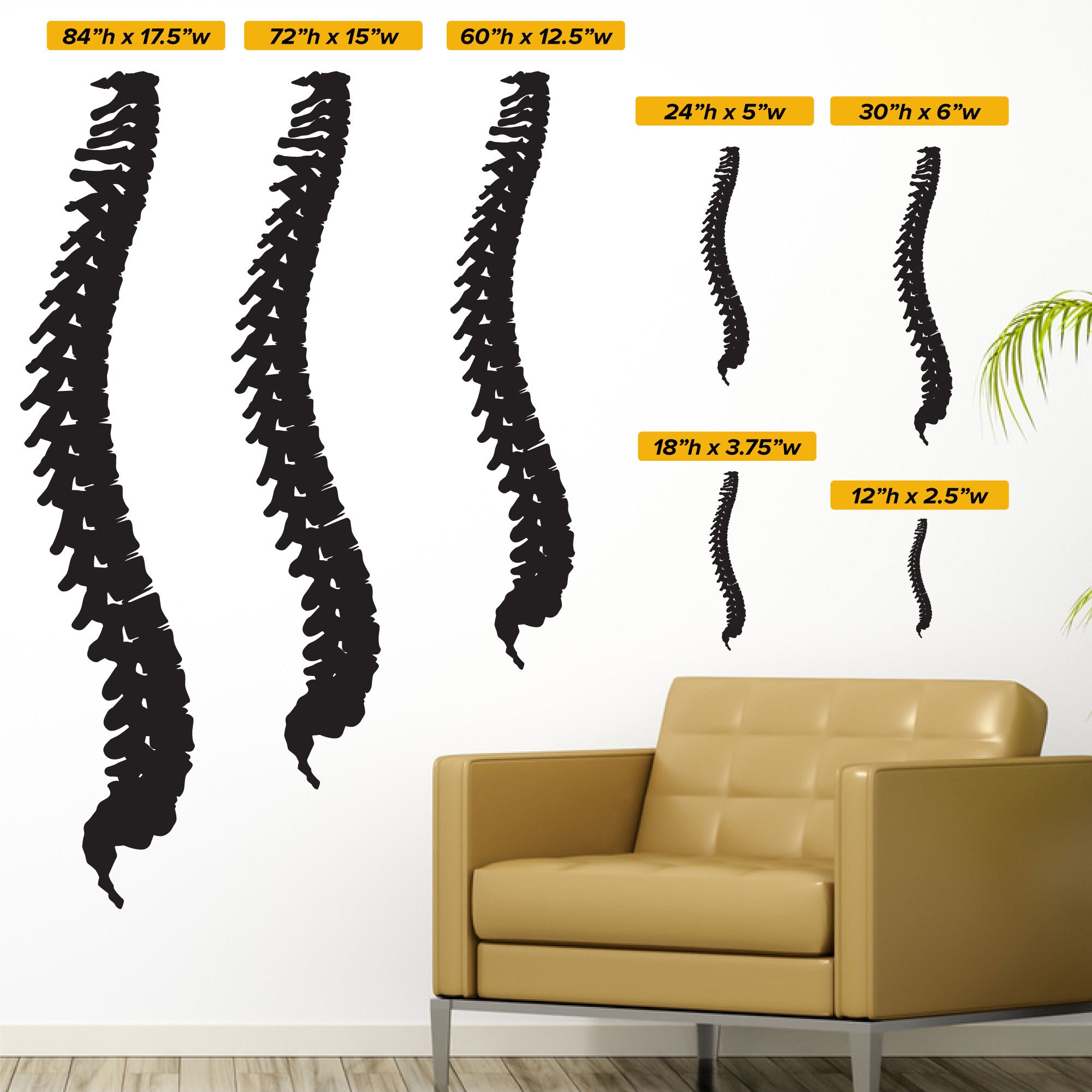 Chiropractic Office Spine Wall Decal: Vertebrae Bones Graphic - Etsy
