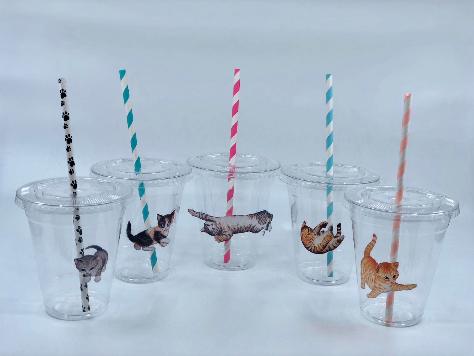 Cat Party Cups With Lids and Straws Plastic Cat Party Drink - Etsy