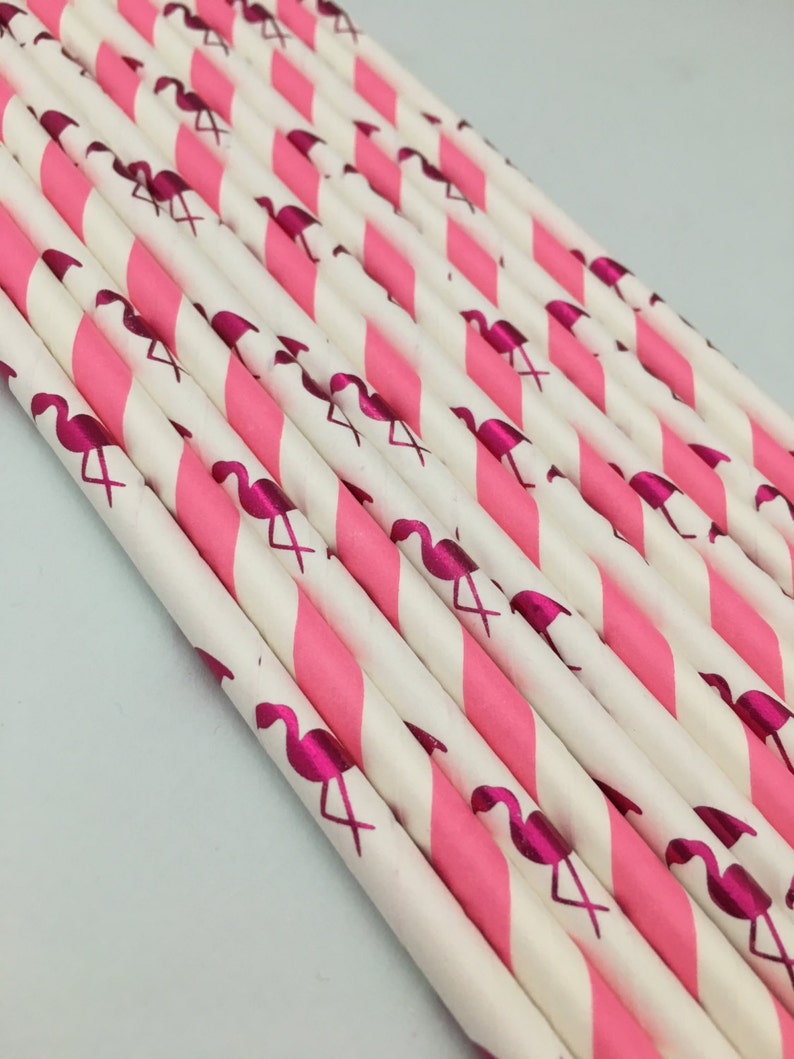 Flamingo Party Straws Tropical Party Straws - Etsy