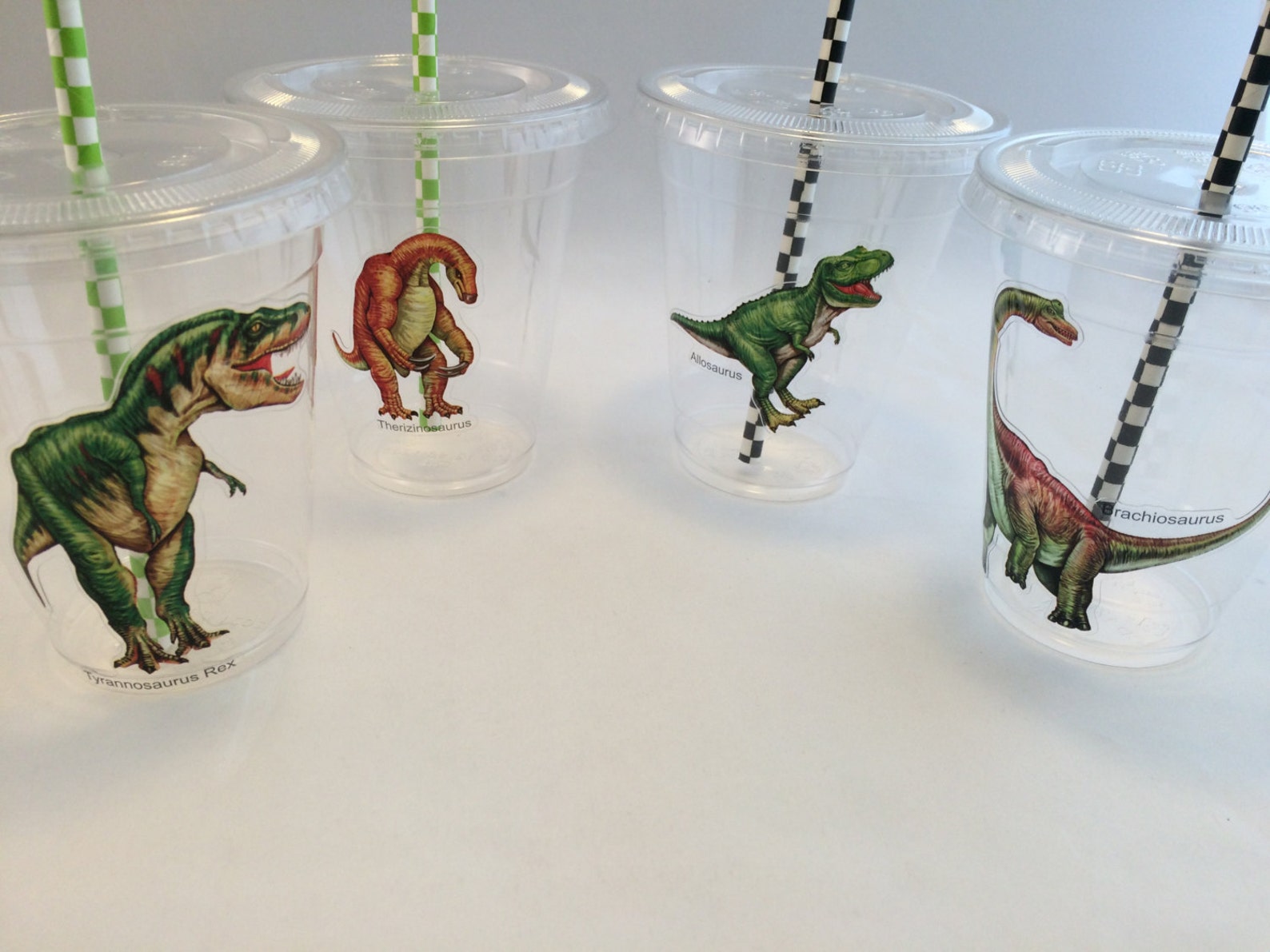 Dinosaur Cups With Lids and Straws: Dinosaur Plastic Drink Cups ...