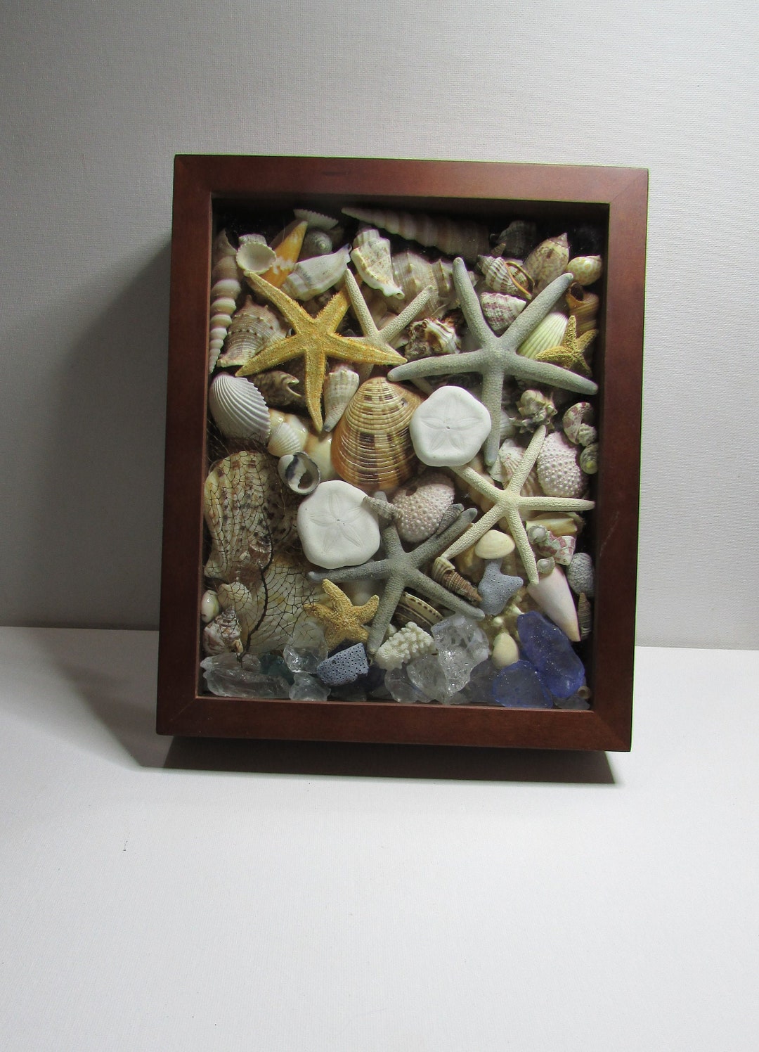 Sea Shell Shadow Box, Nautical Decor, Beach Decor, Home Decor, Coastal ...