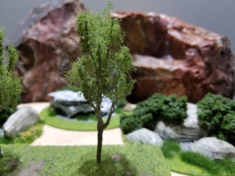 2 3 Miniature Trees Green Mountain Gum Tree | Etsy