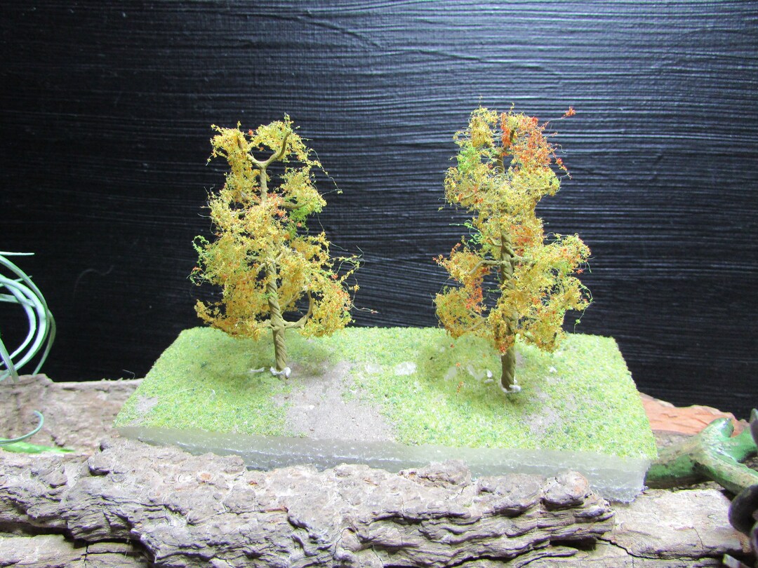 2 (2.5") Miniature Trees, Orange Autumn Fall Sycamore Tree, Terrarium ...