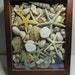 Sea Shell Shadow Box Nautical Decor Beach Decor Home Decor - Etsy