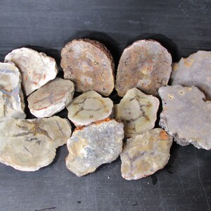 Coprolite Faced Rough Rock Lot | 4 LBS | Multiple Pairs of Halves ...