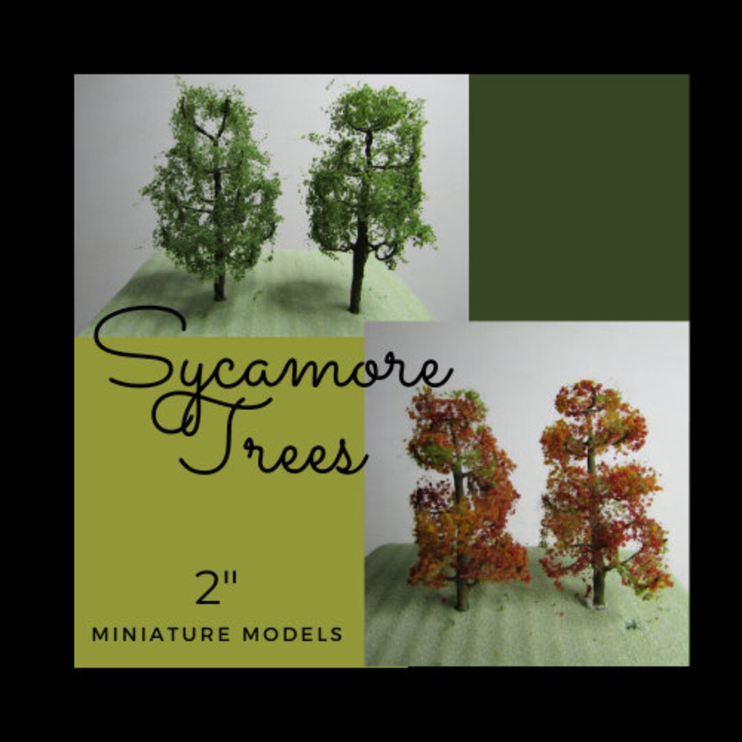 2 (2") Miniature Trees, Sycamore Tree Variations, Autumn Fall Tree ...