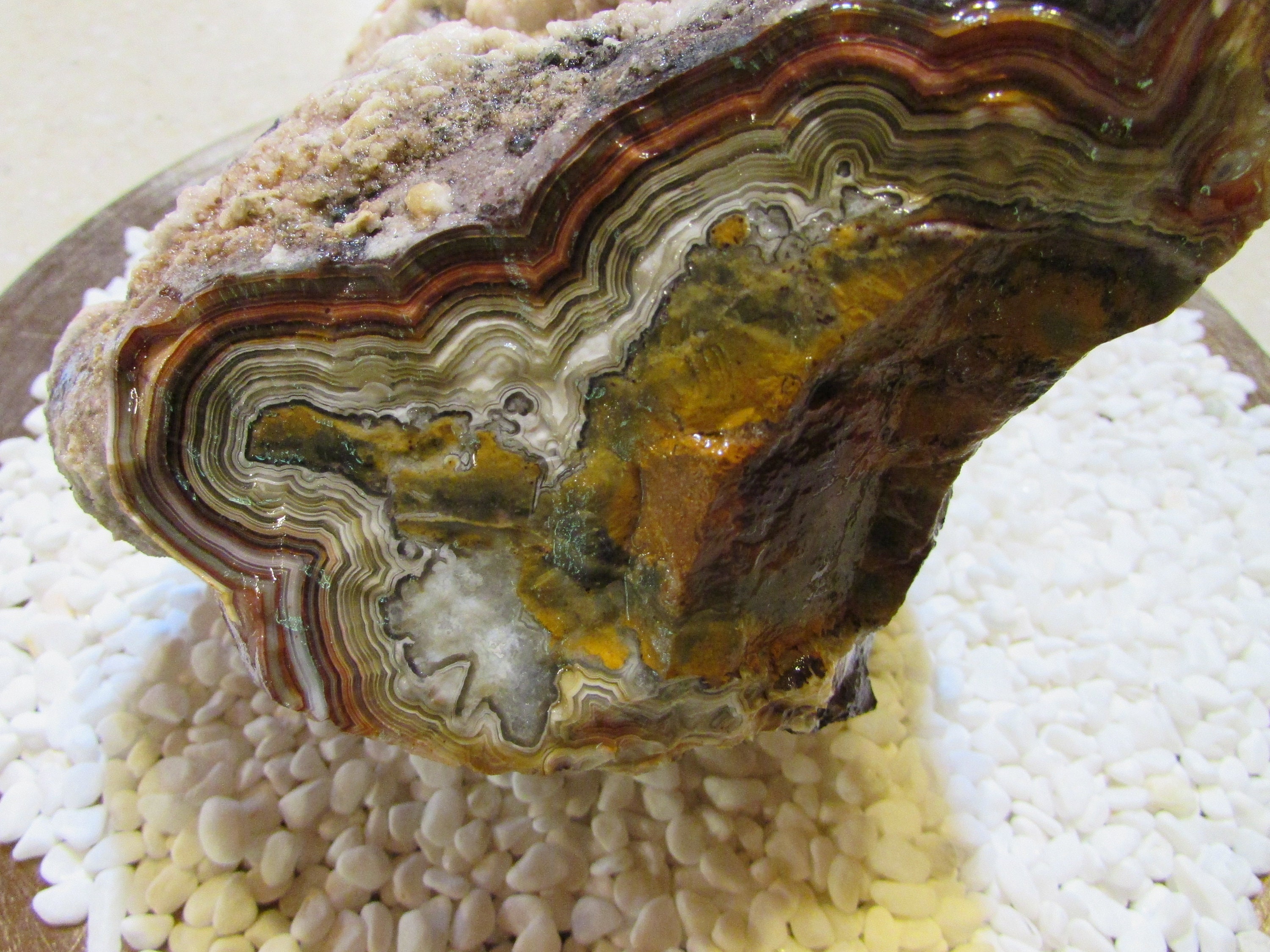Large Mexican Crazy Lace Agate Rough 7 Lbs and 6.25 - Etsy