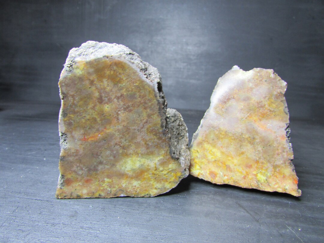 Coprolite Faced Rough Rock--two Halves, Decorative Stone, Fossilized ...