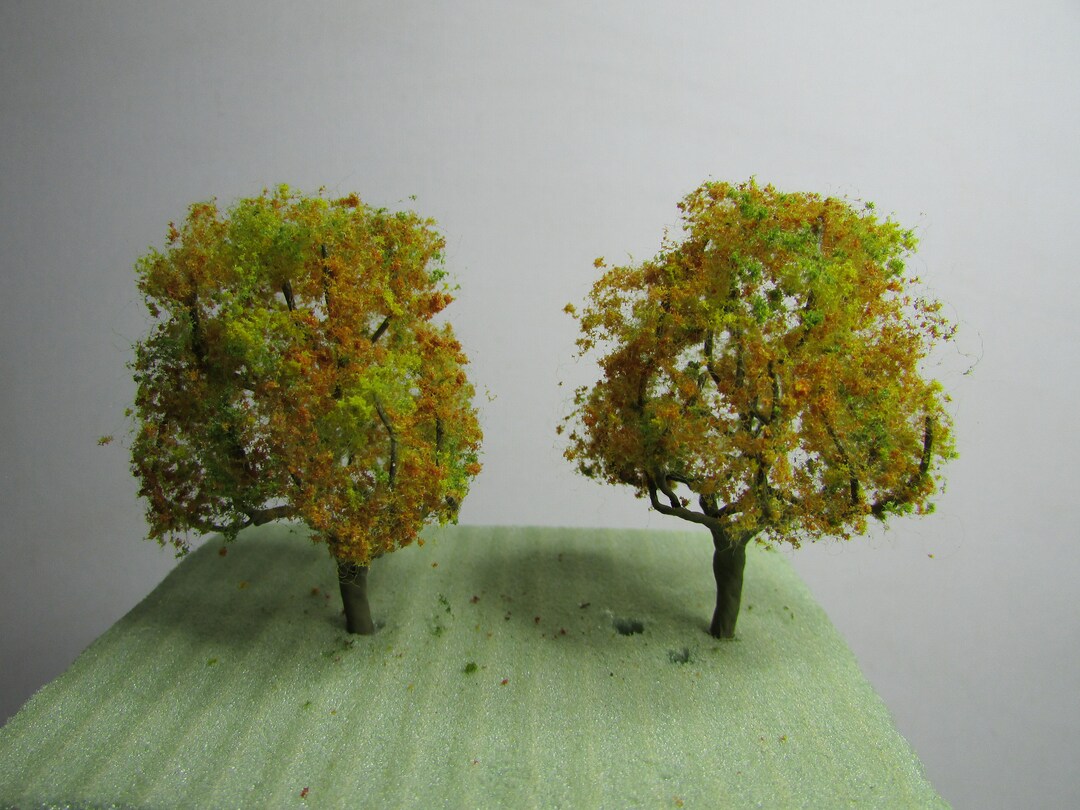 2 (1.5-2") Miniature Early Fall Deciduous Trees, Fall Deciduous Tree ...