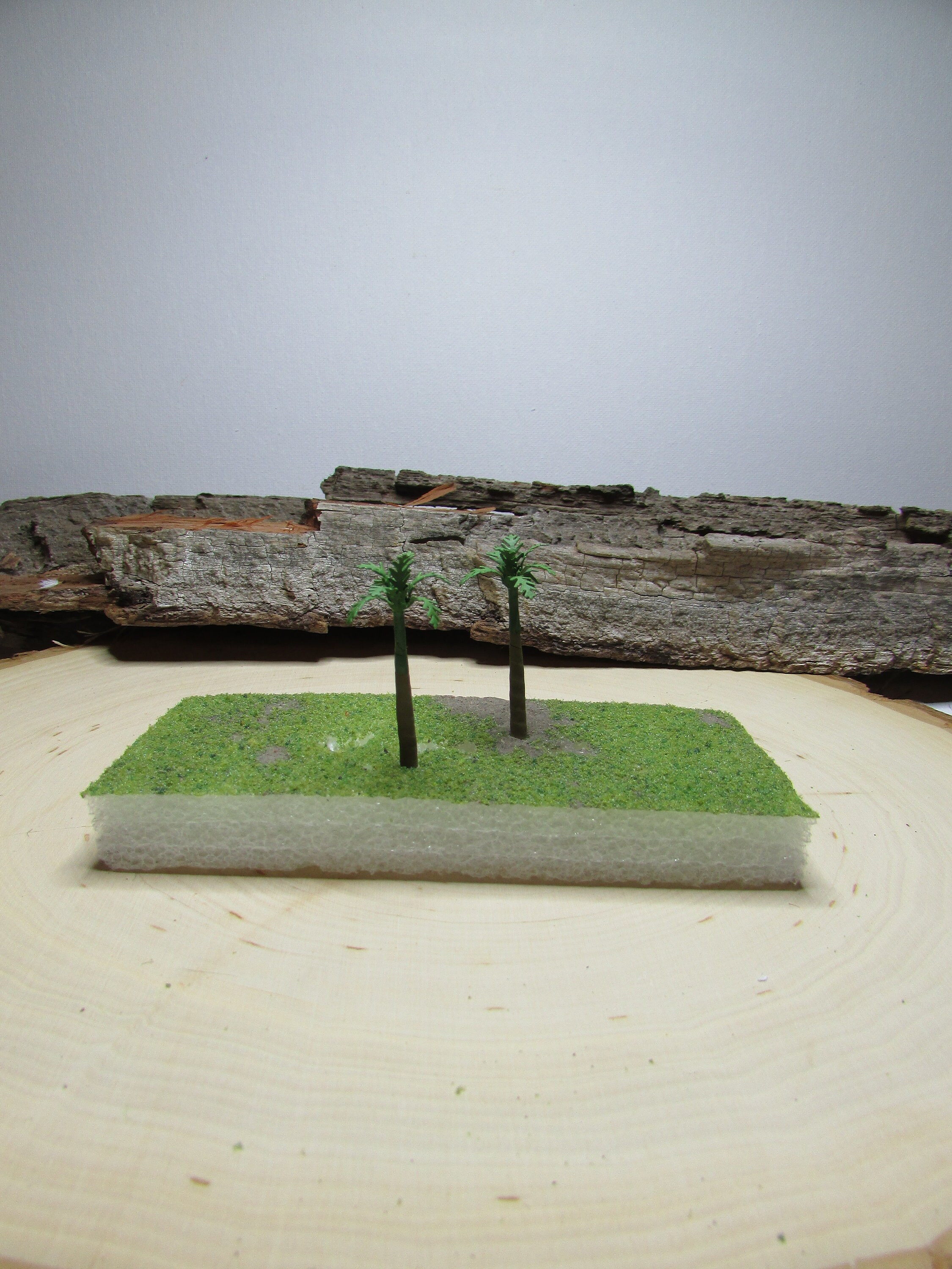 Miniature Palm Trees Palm Tree Terrarium Craft Tree Beach - Etsy