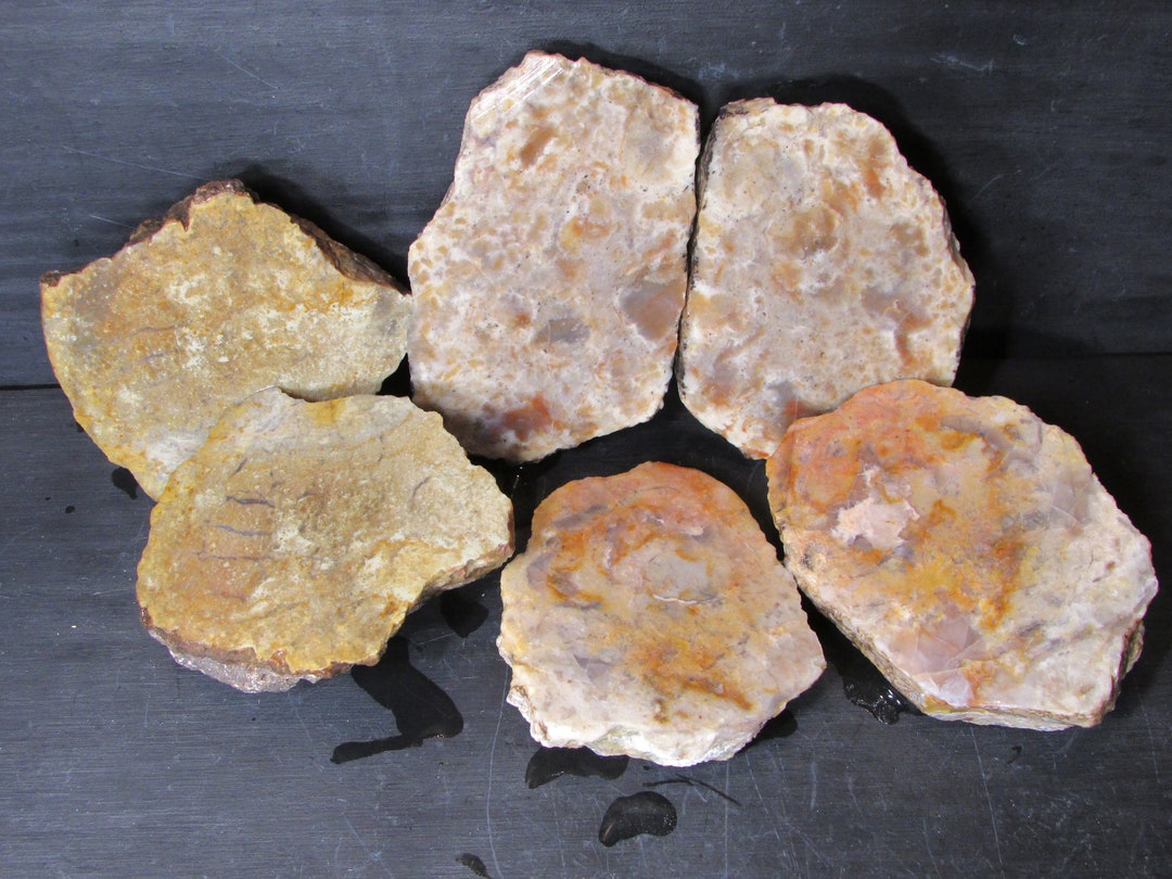 Coprolite Faced Rough Rock Lot | 2 LBS | Multiple Pairs of Halves ...